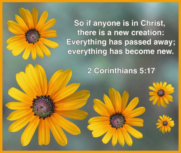 Have a blessed New Year | Seriously Seeking Answers