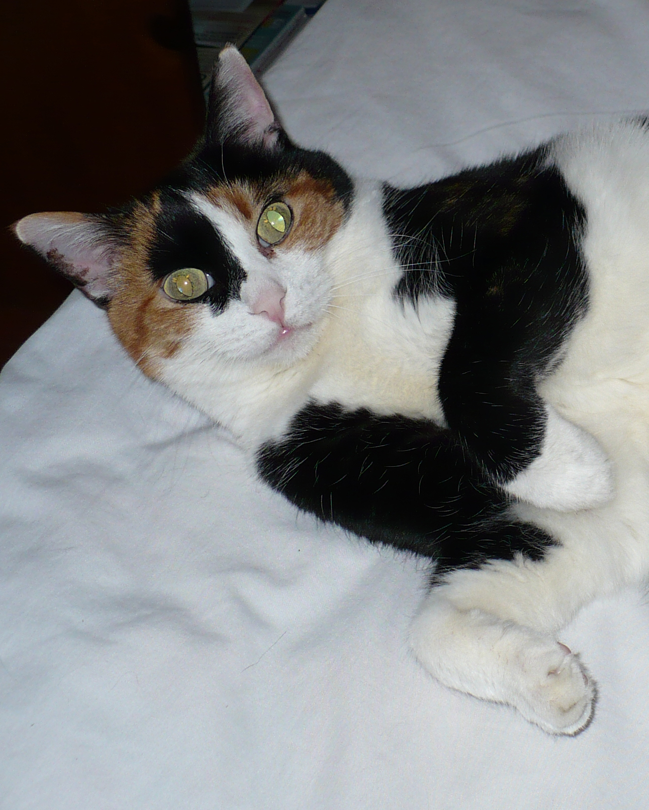 Seriously Seeking Answers | A spiritual journey in which I explore ...